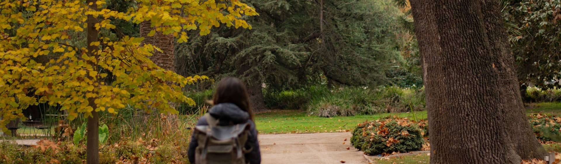 Tour conociendo Las Majadas - Hotel Las Majadas